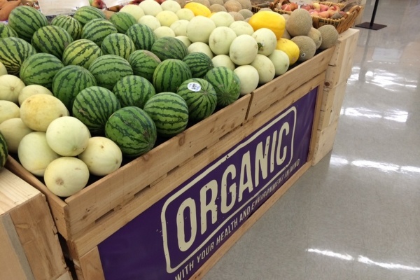 Agriculture Wooden Bins | Bulk Harvest Storage Crates