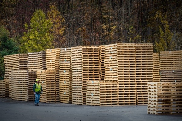 Wood Pallet Supplier & Manufacturer | Buy HT & GMA Pallets